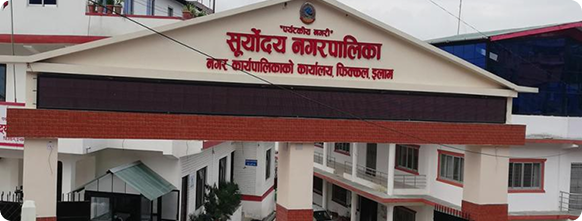 Digital Metric Addressing System